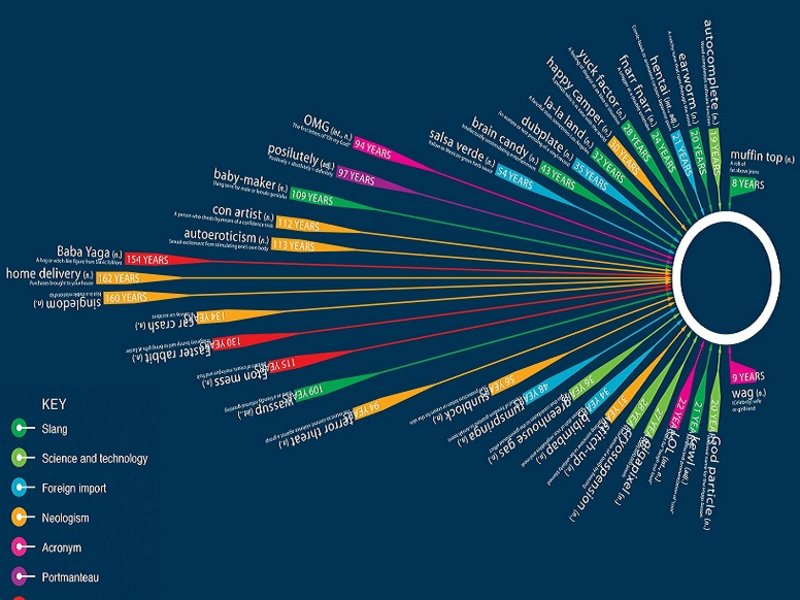Infographic services - Crystal-Ann Genest - Simbi